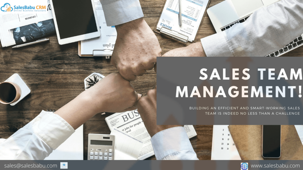 Sales Team Management - SalesBabu Business Solutions Pvt. Ltd.